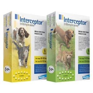 Interceptor for Cats | Pets First Choice