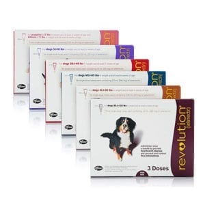 Revolution for Dogs | Pets First Choice
