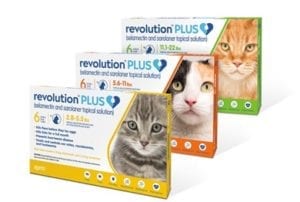 Revolution Plus for Cats | Pets First Choice