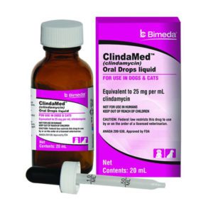 Clindamycin Suspension | Pets First Choice