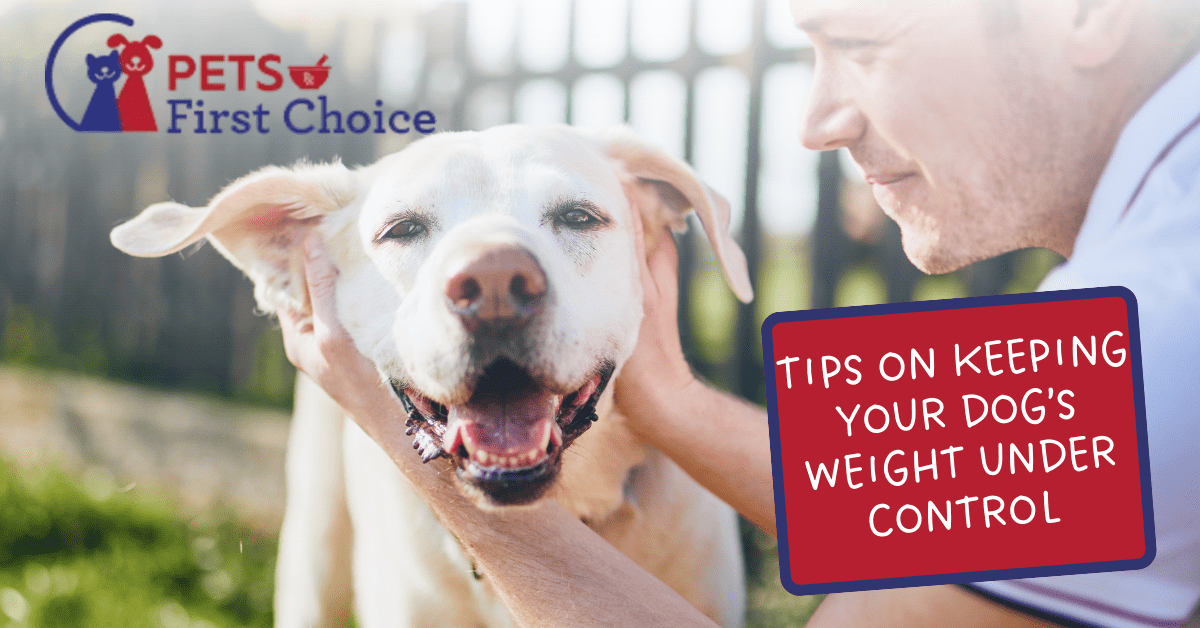 Tips On Keeping Your Dog’s Weight Under Control | Pets First Choice