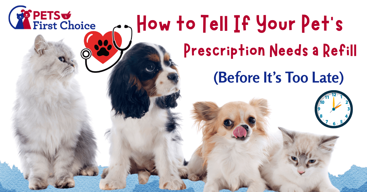 How to Tell If Your Pet’s Prescription Needs a Refill (Before It’s Too ...