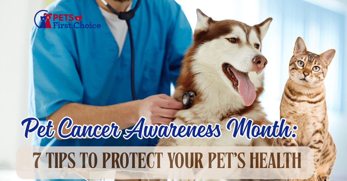 Pet Cancer Awareness Month: 7 Tips to Protect Your Pet’s Health | Pets ...