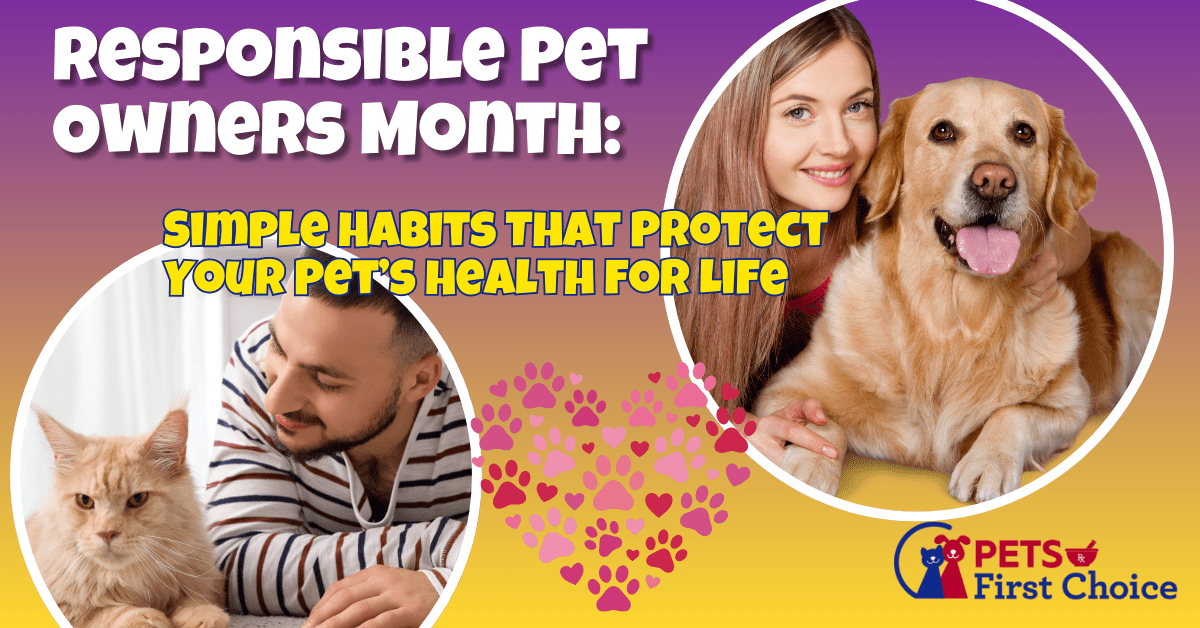 Responsible Pet Owners Month: Simple Habits That Protect Your Pet's ...